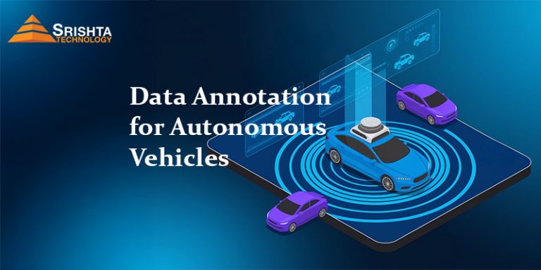 Data Annotation Service for Autonomous Vehicles - Srishta Technology