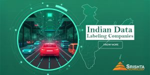 Top 10 Data Labeling Companies in India (2026) - Srishta Technology